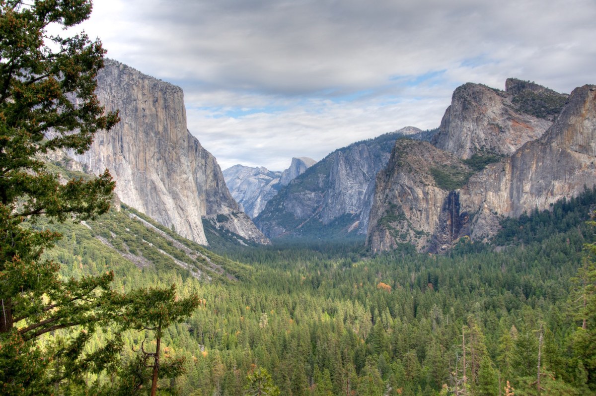 Yosemite National Park – Tess Needham