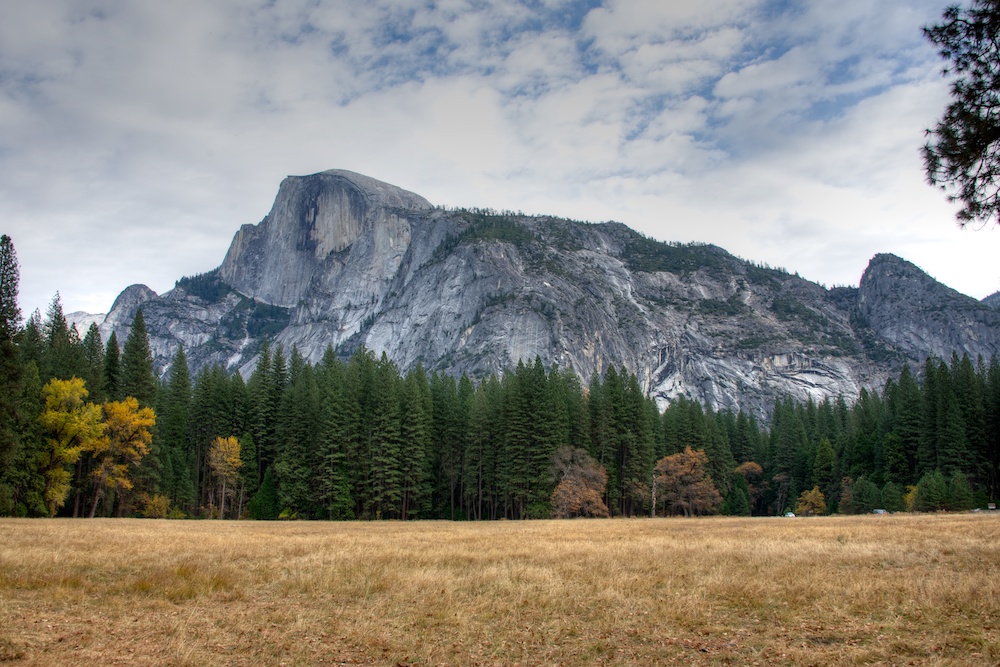 Yosemite National Park – Tess Needham
