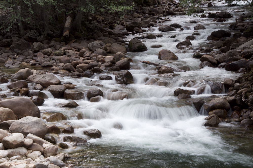 Yosemite National Park – Tess Needham